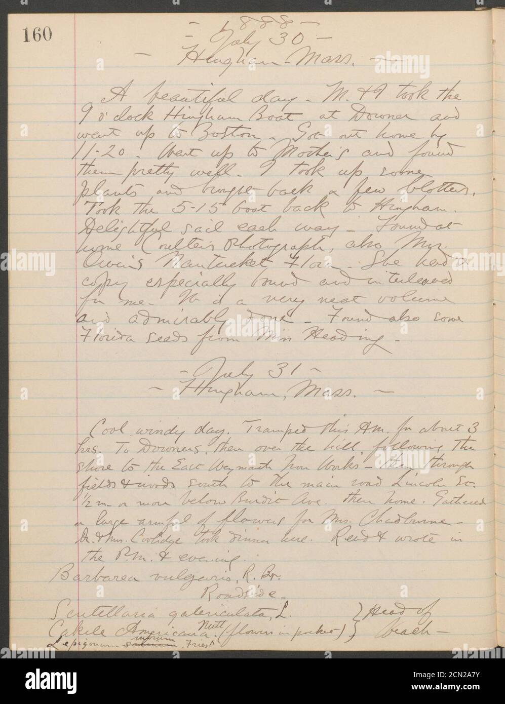 Journal, 1887-1890 (inclusive) (Page 160 Stock Photo - Alamy