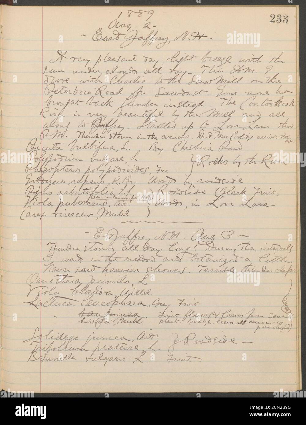 Journal, 1887-1890 (inclusive) (Page 233 Stock Photo - Alamy