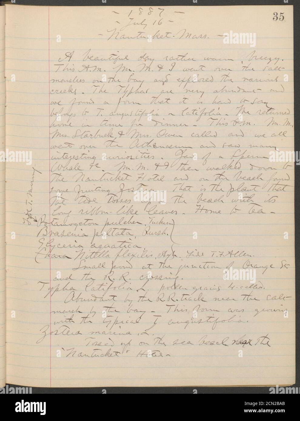 Journal, 1887-1890 (inclusive) (Page 35 Stock Photo - Alamy