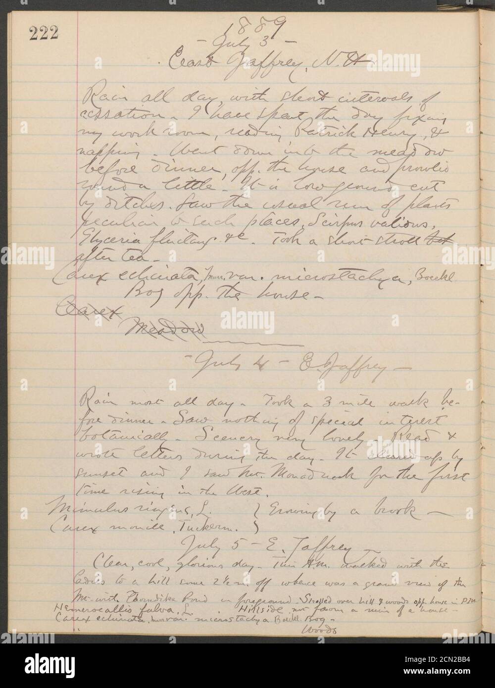 Journal, 1887-1890 (inclusive) (Page 222 Stock Photo - Alamy