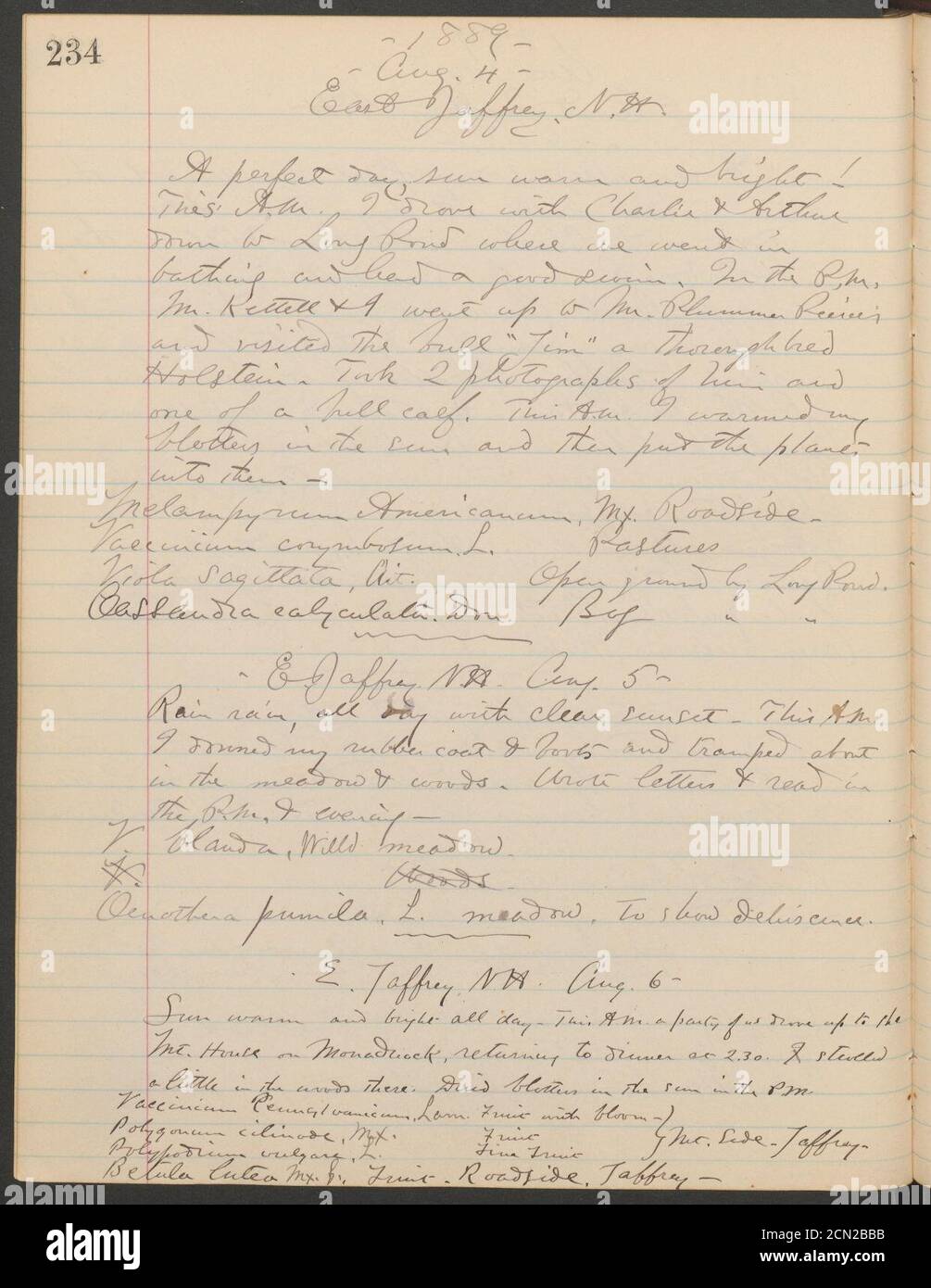 Journal, 1887-1890 (inclusive) (Page 234 Stock Photo - Alamy
