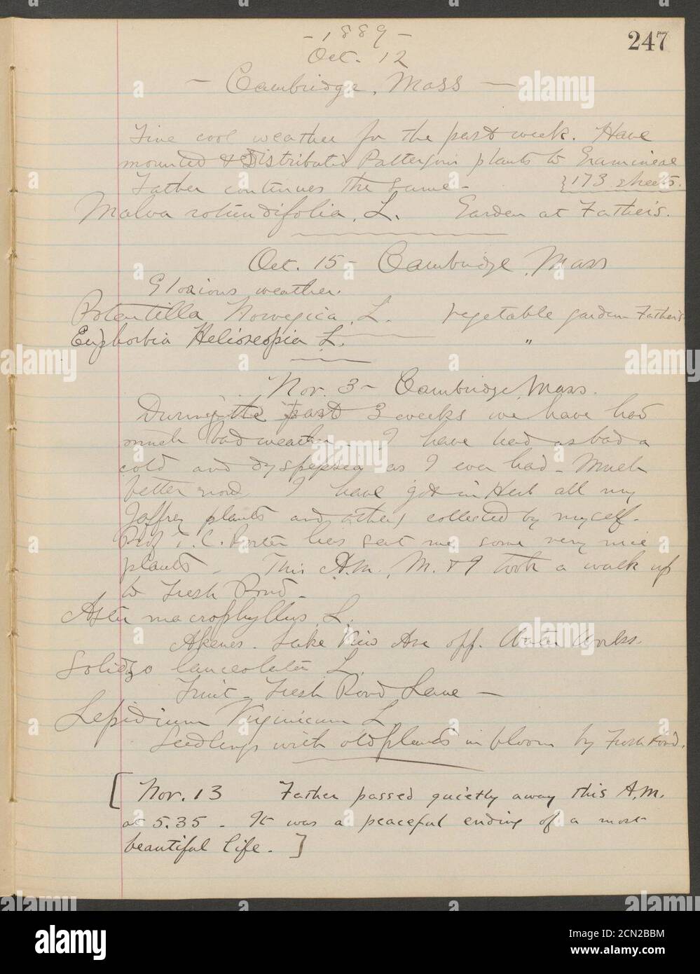 Journal, 1887-1890 (inclusive) (Page 247 Stock Photo - Alamy