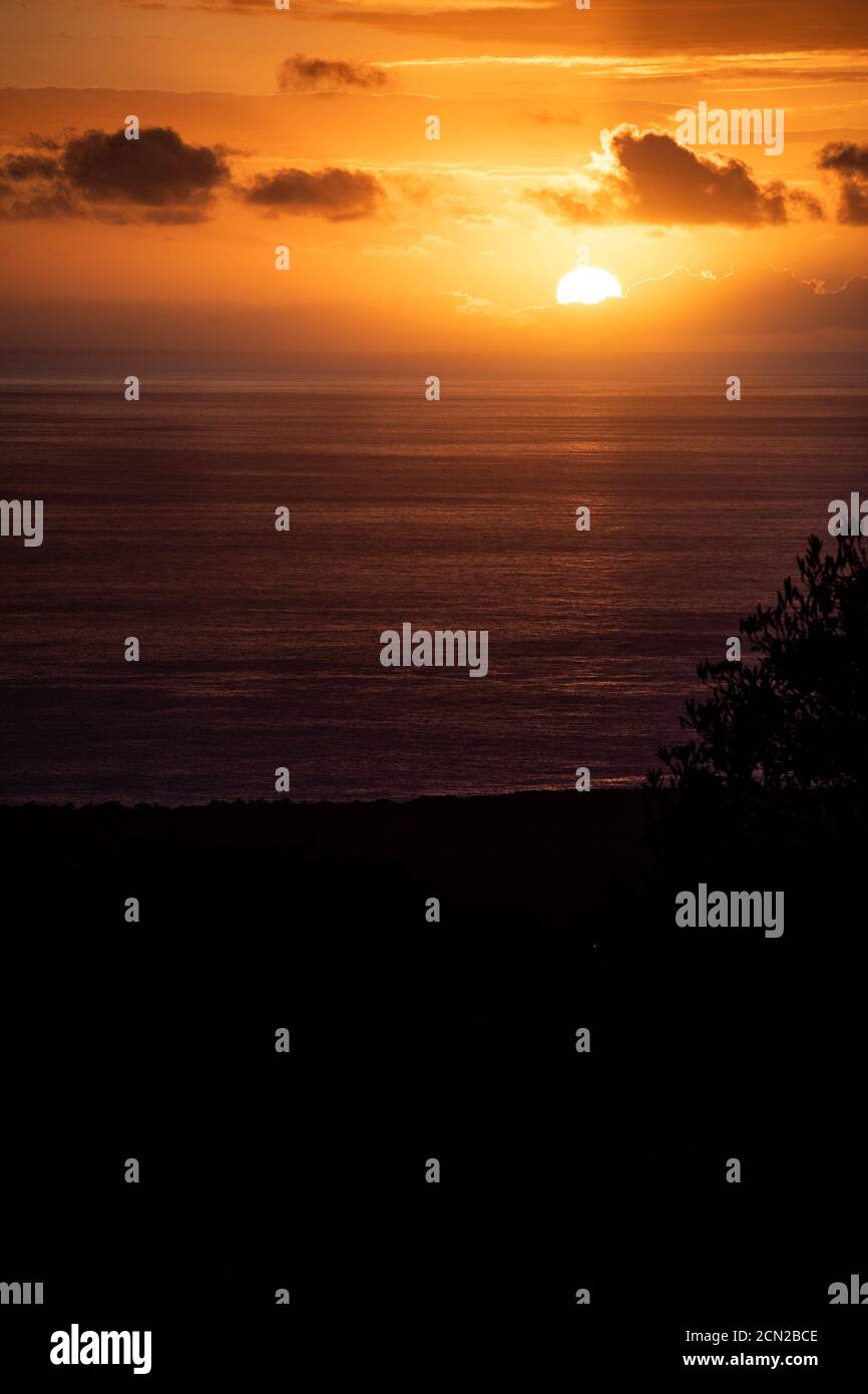 Going to hawaii hi-res stock photography and images - Alamy