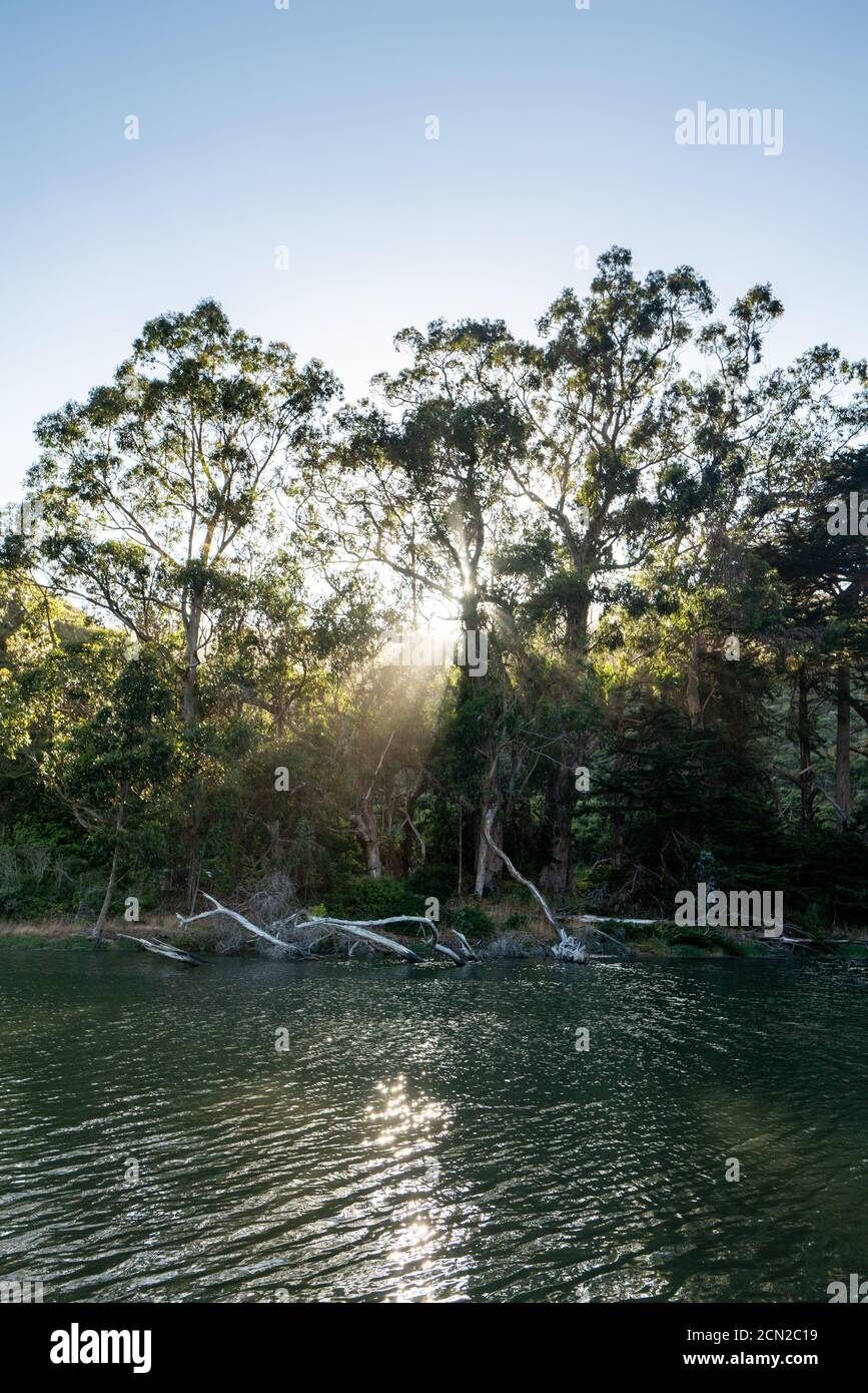 Sunlight trees and rivers hi-res stock photography and images - Alamy