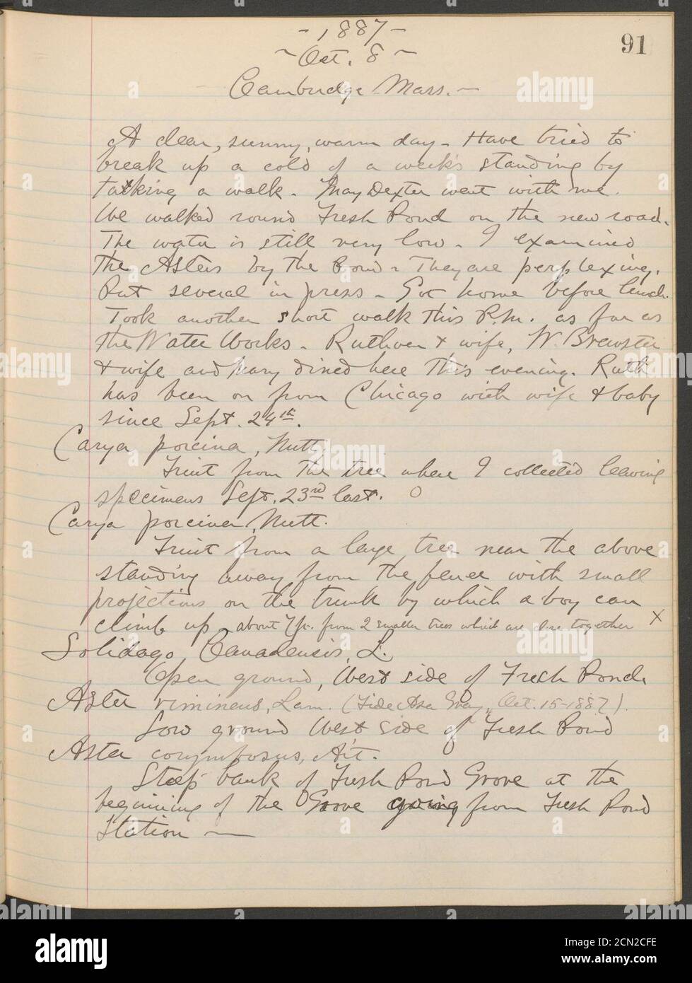 1887 91 hi-res stock photography and images - Alamy