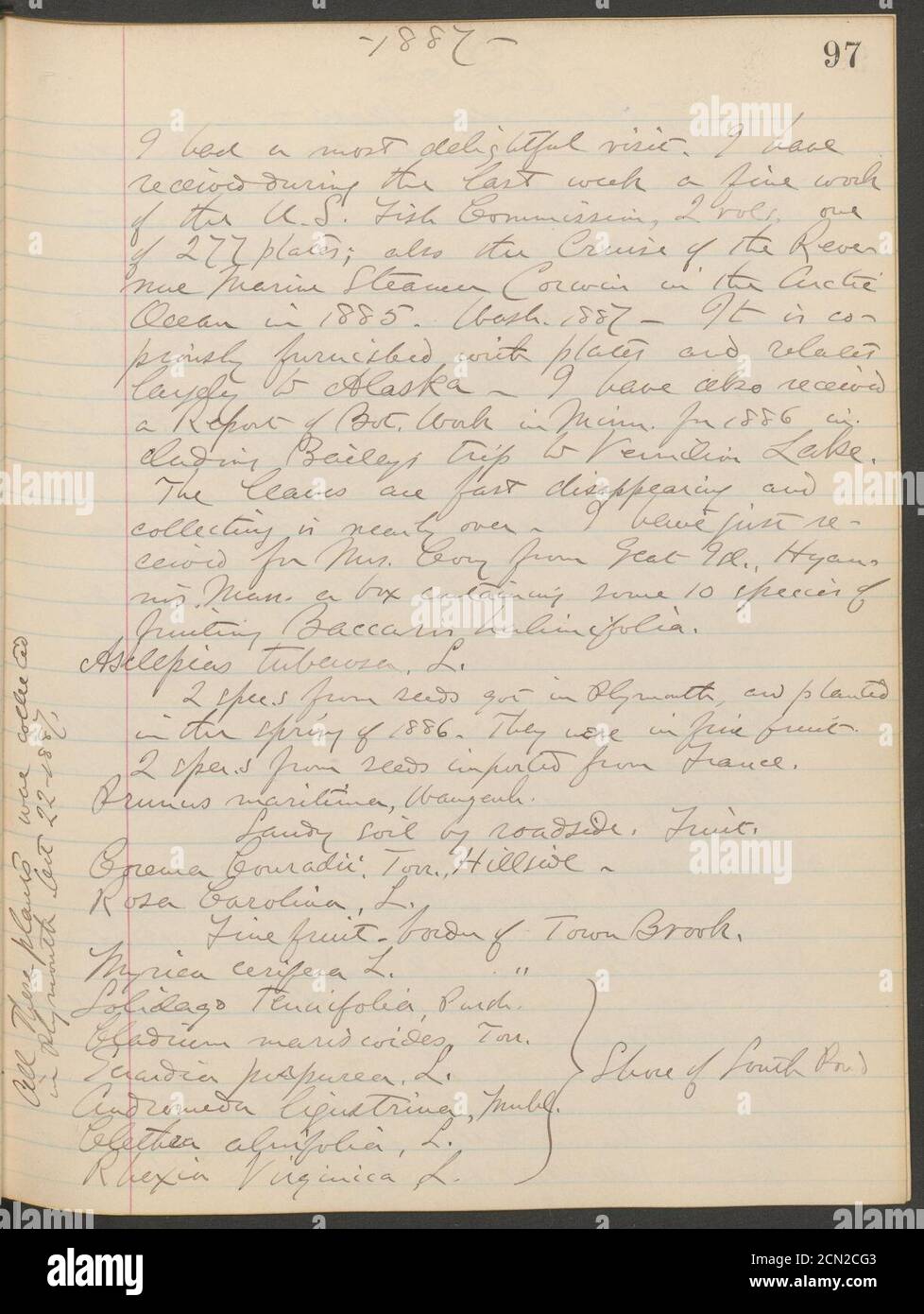 1890 97 hi-res stock photography and images - Alamy