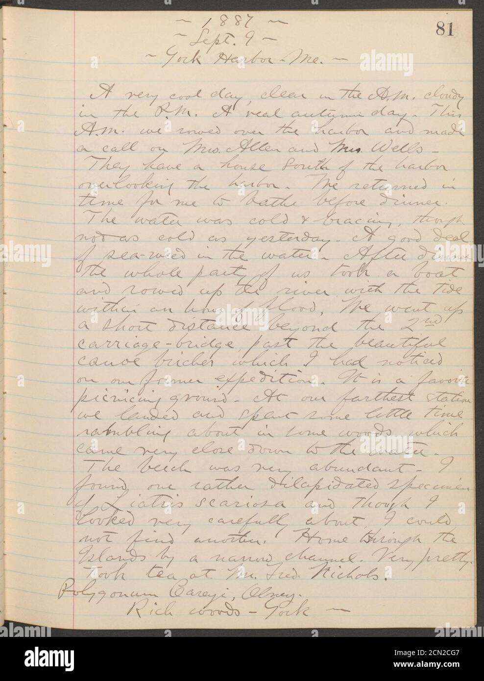 Journal, 1887-1890 (inclusive) (Page 81 Stock Photo - Alamy