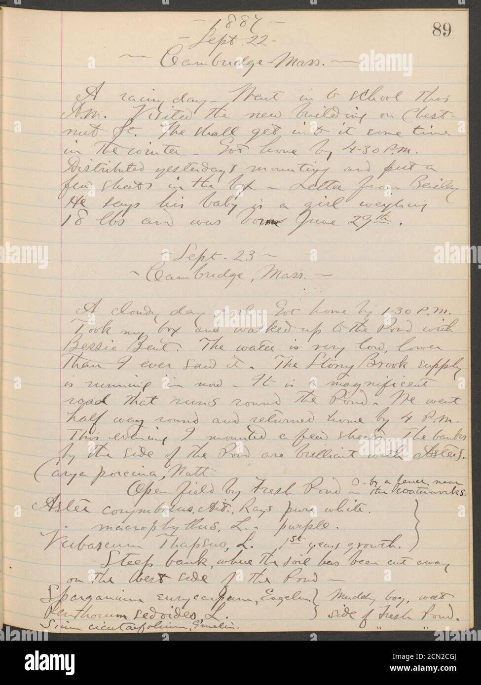 Journal, 1887-1890 (inclusive) (Page 89 Stock Photo - Alamy