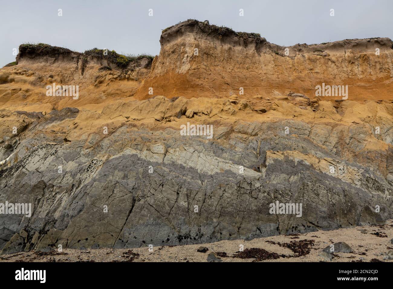 Seaside cliff showing different colors and textures in California Stock ...
