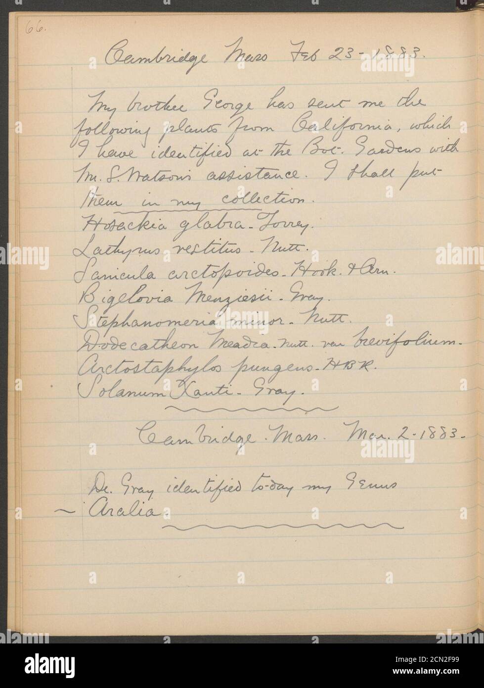 Journal,1882-1885 (Page 66 Stock Photo - Alamy