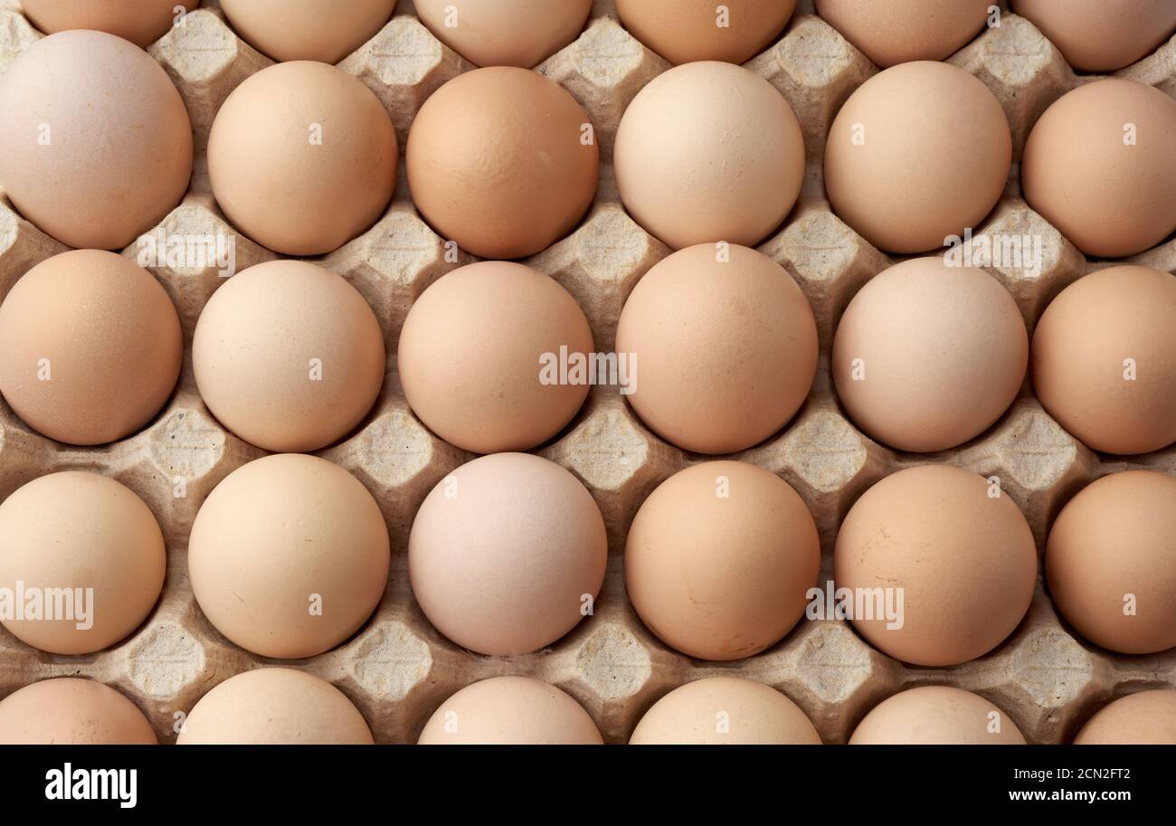 whole round raw brown homemade chicken eggs in a paper tray Stock Photo ...