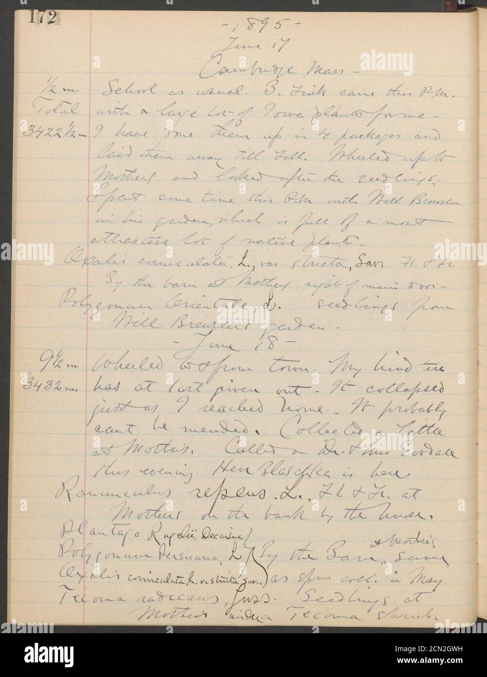 Journal,1895-1896 (bulk), 1895-1927 (inclusive) (Page 172 Stock Photo - Alamy