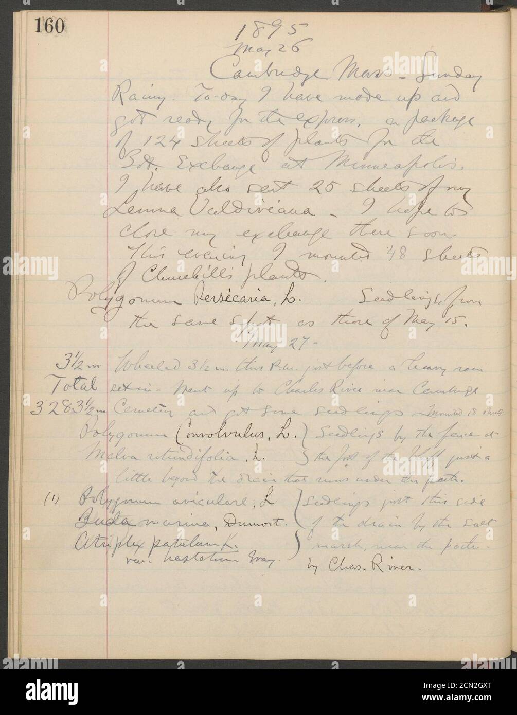 Journal,1895-1896 (bulk), 1895-1927 (inclusive) (Page 160 Stock Photo - Alamy