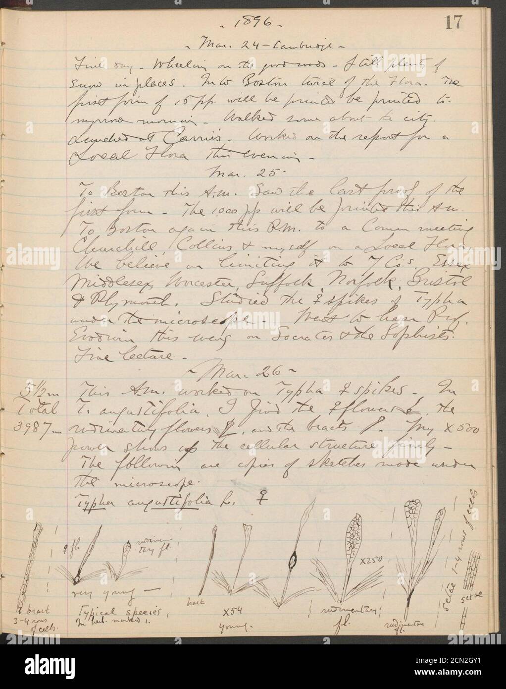 1927 17 hi-res stock photography and images - Alamy