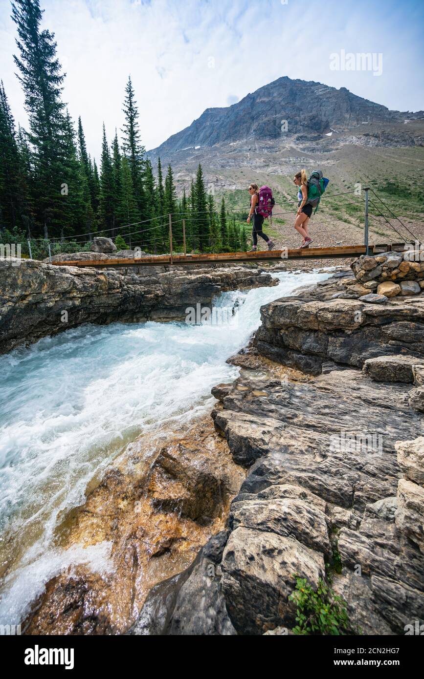 Crossing Raging Glacial River on Suspension Bridge Over Twin Falls ...
