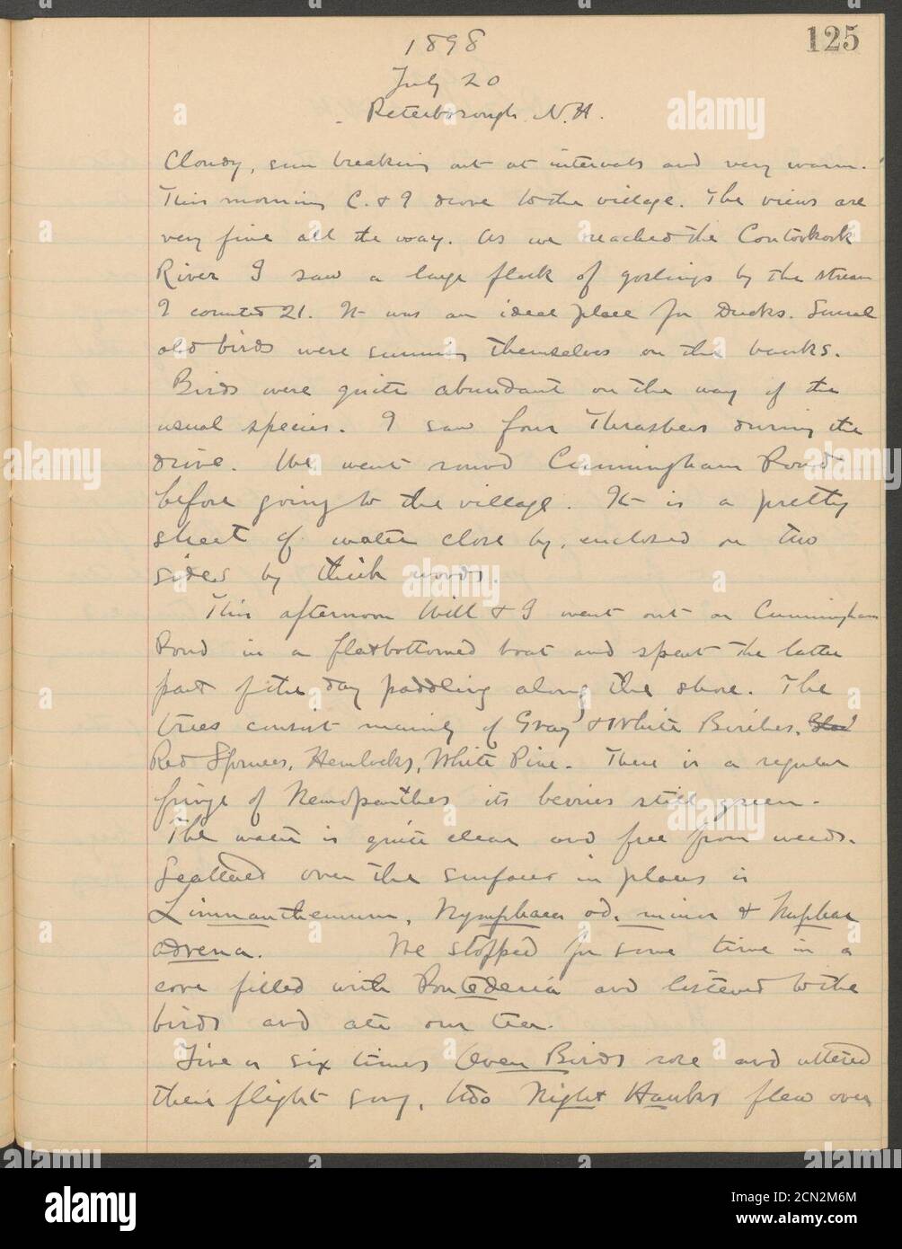 Journal,1896-1899 (inclusive) (Page 125 Stock Photo - Alamy