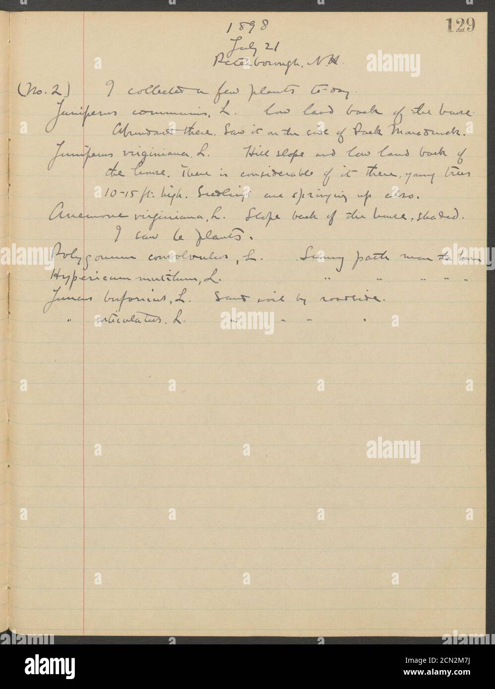 Journal,1896-1899 (inclusive) (Page 129 Stock Photo - Alamy