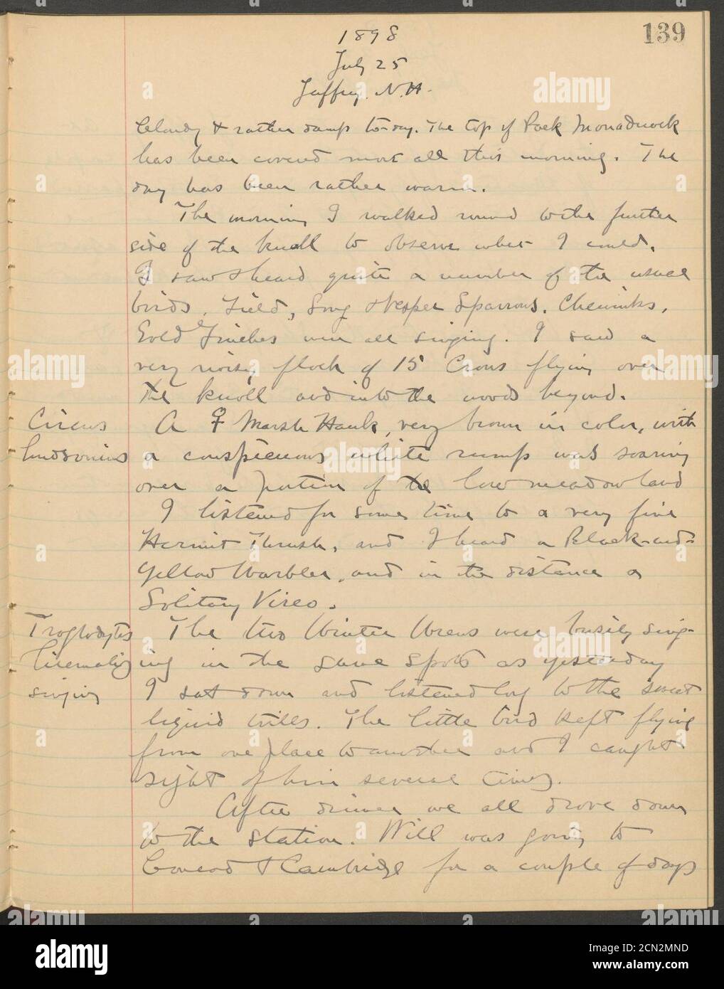 Journal,1896-1899 (inclusive) (Page 139 Stock Photo - Alamy