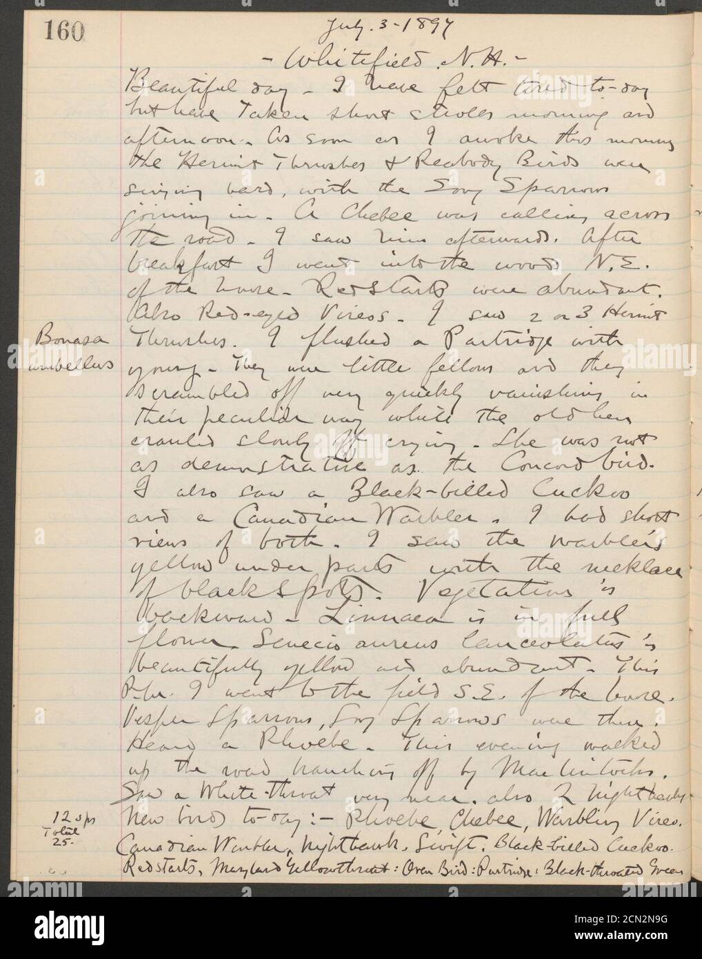 Journal,1896-1899 (inclusive) (Page 160 Stock Photo - Alamy