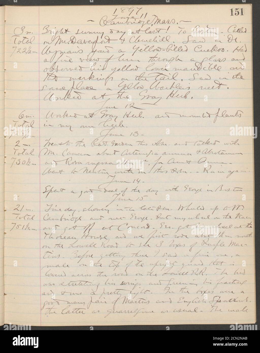 Journal,1896-1899 (inclusive) (Page 151 Stock Photo - Alamy