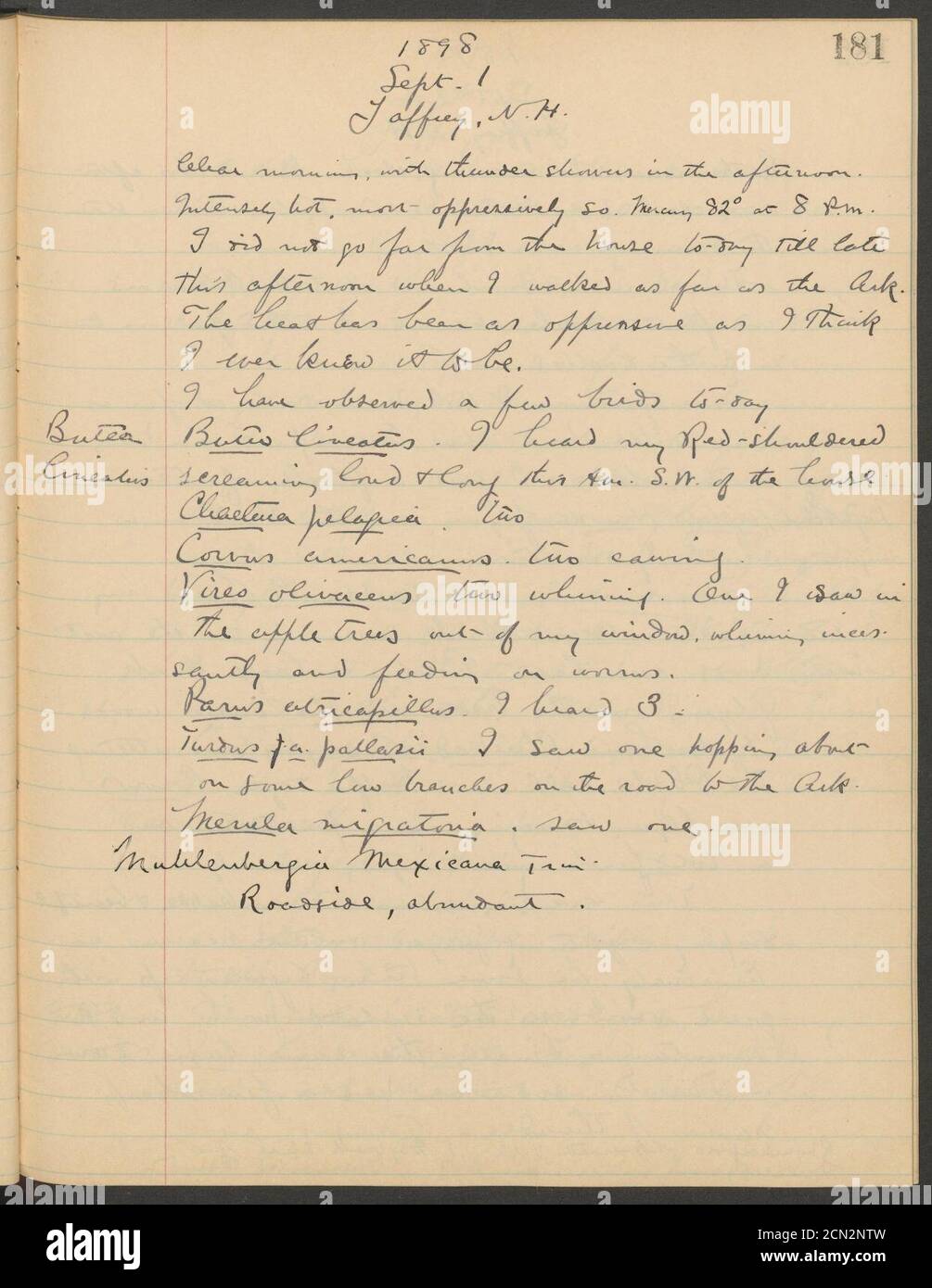 Journal,1896-1899 (inclusive) (Page 181 Stock Photo - Alamy