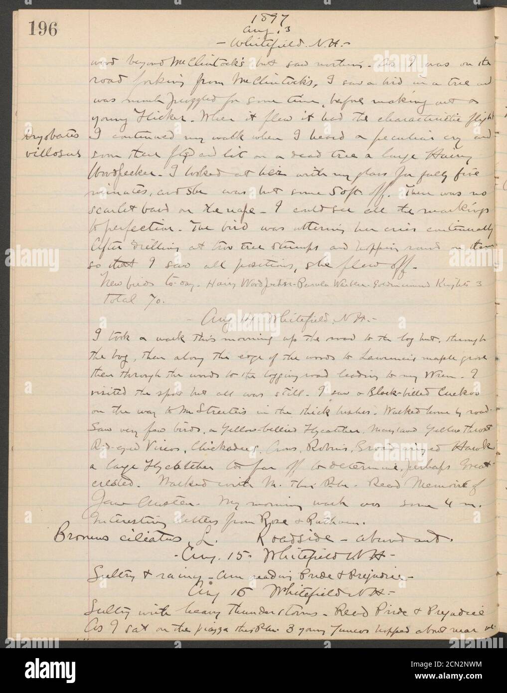 Journal,1896-1899 (inclusive) (Page 196 Stock Photo - Alamy