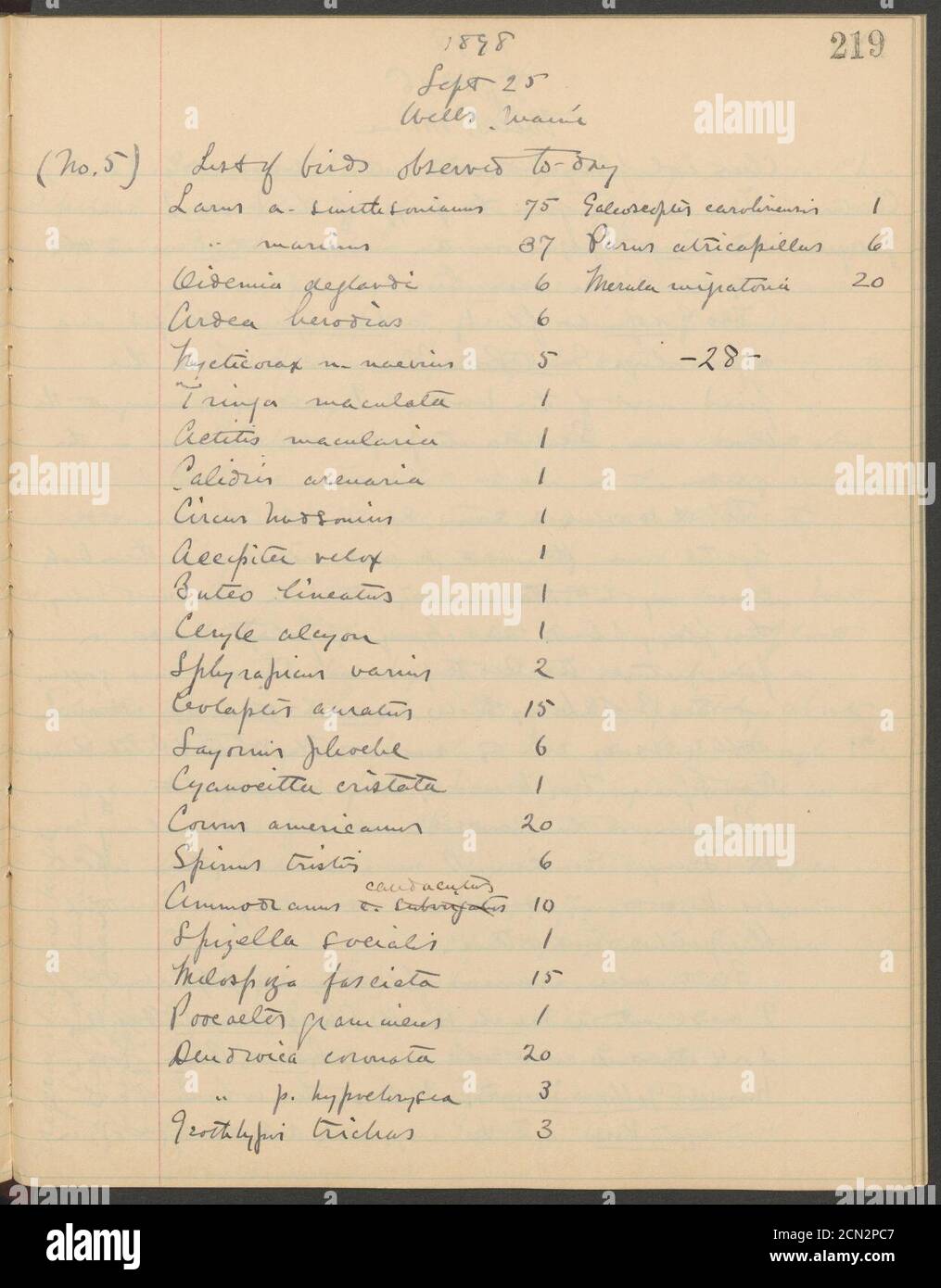 Journal,1896-1899 (inclusive) (Page 219 Stock Photo - Alamy