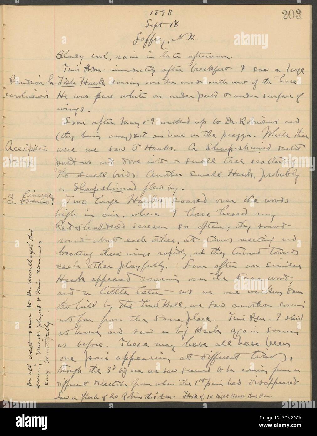 Journal,1896-1899 (inclusive) (Page 203 Stock Photo - Alamy