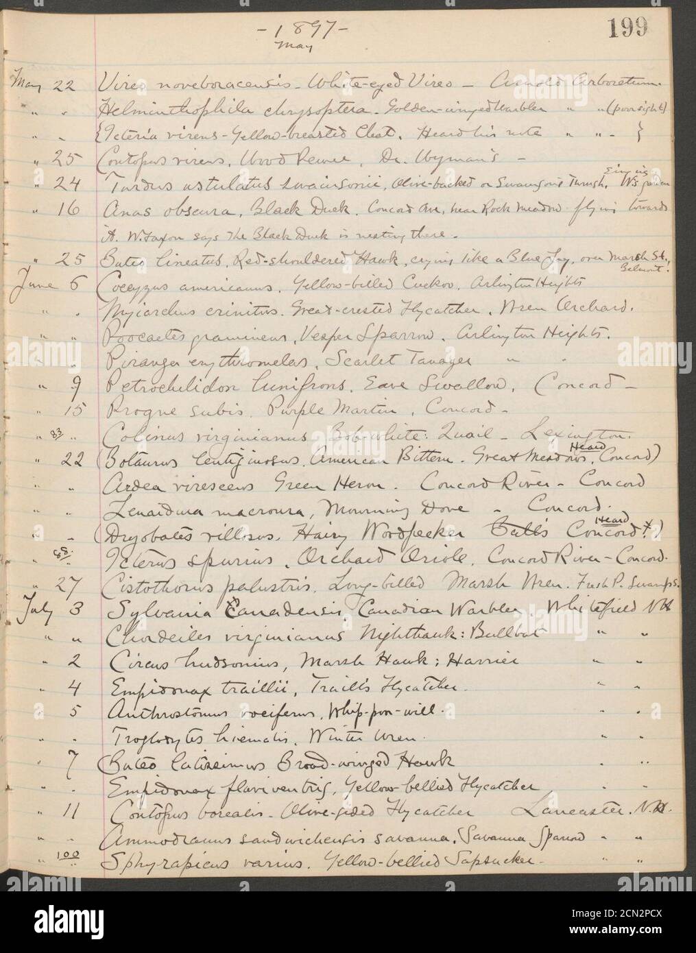 Journal,1896-1899 (inclusive) (Page 199 Stock Photo - Alamy
