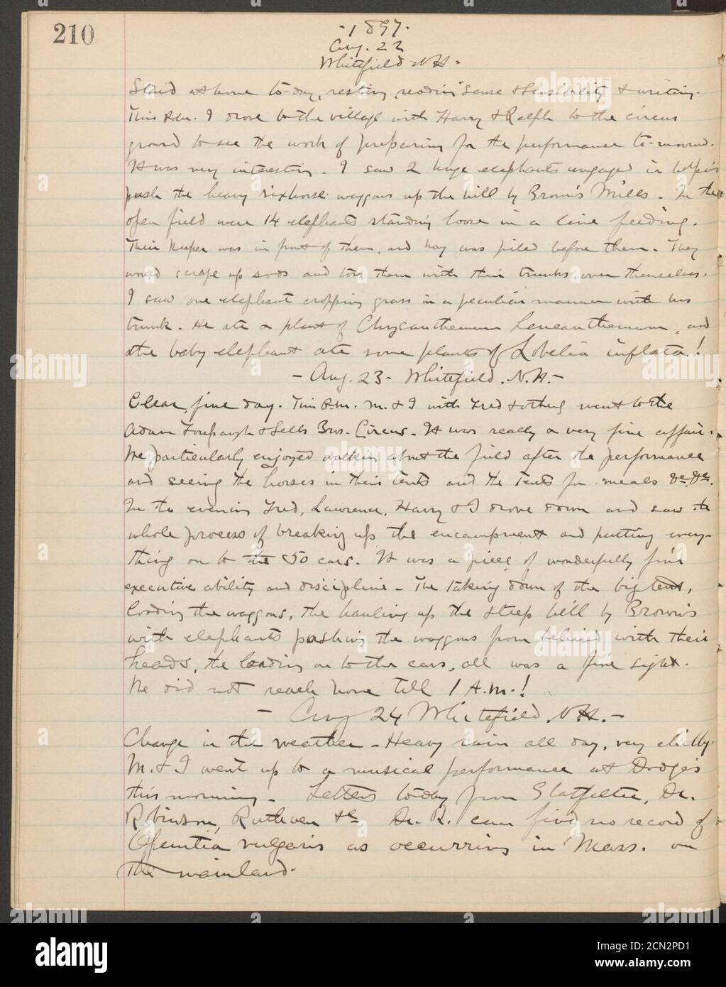 Journal,1896-1899 (inclusive) (Page 210 Stock Photo - Alamy