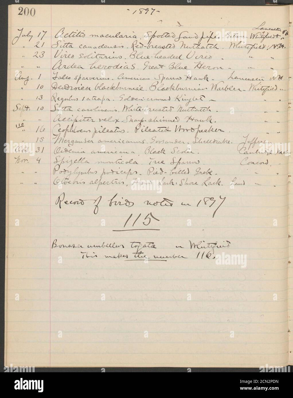 Journal,1896-1899 (inclusive) (Page 200 Stock Photo - Alamy