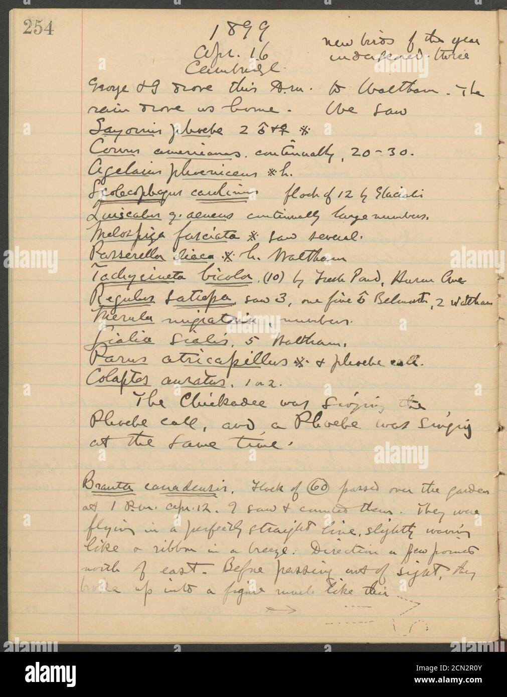 Journal,1896-1899 (inclusive) (Page 254 Stock Photo - Alamy