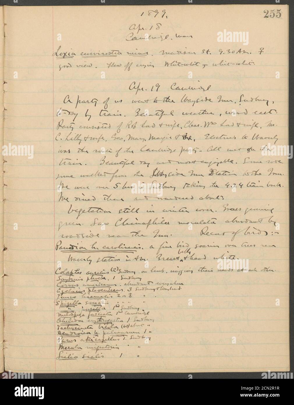 Journal,1896-1899 (inclusive) (Page 255 Stock Photo - Alamy