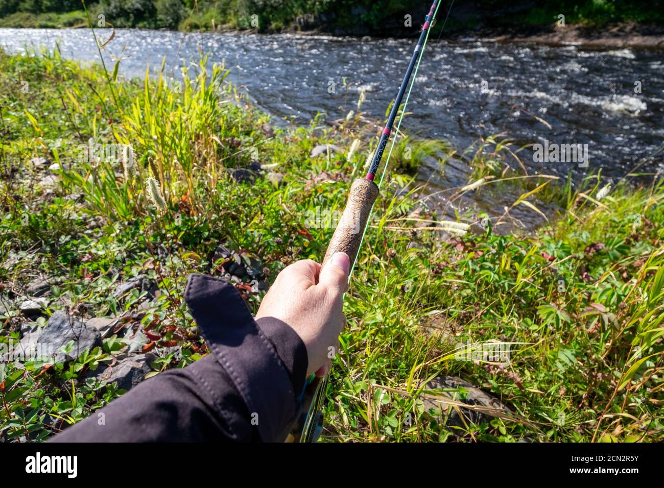Female Angler Fish High Resolution Stock Photography and Images - Alamy