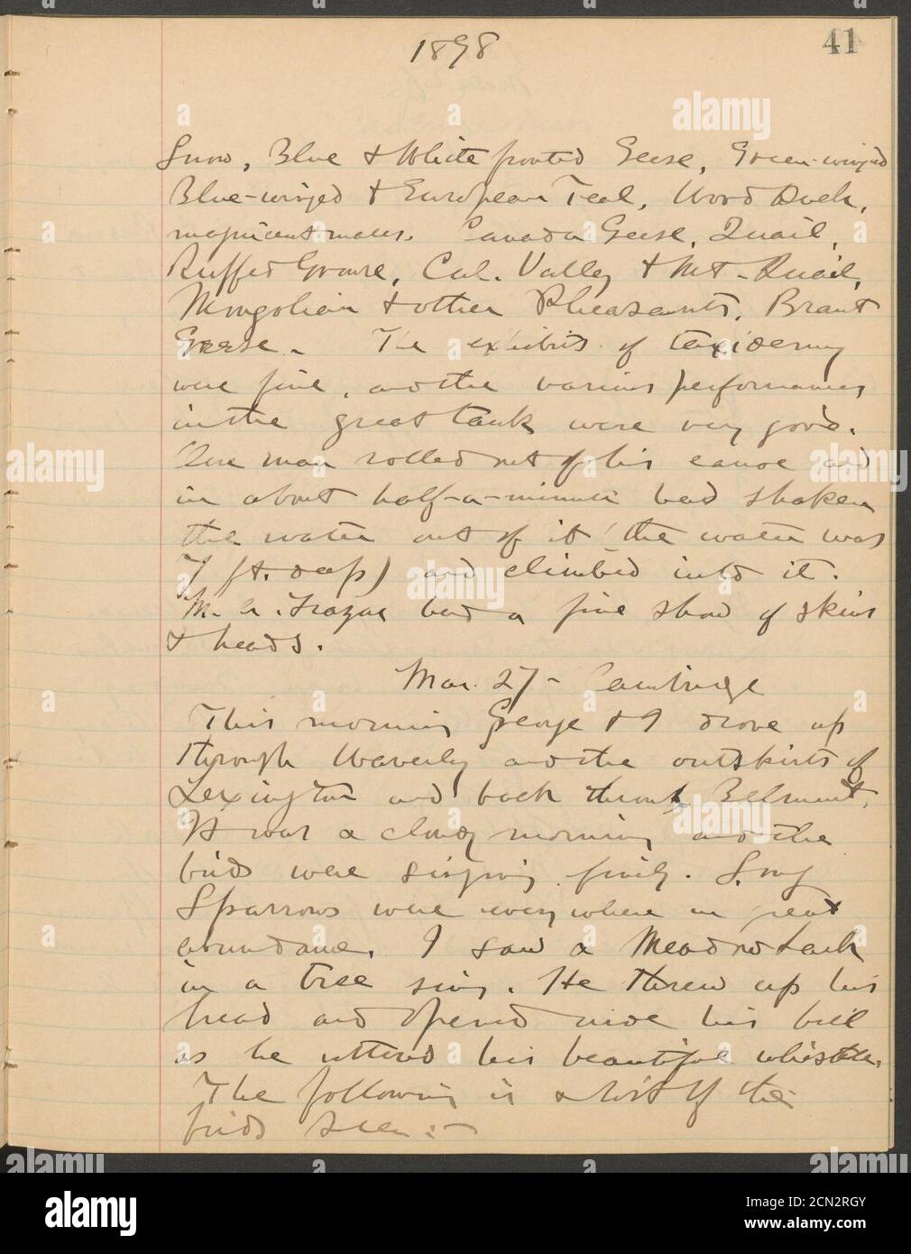 Journal,1896-1899 (inclusive) (Page 41 Stock Photo - Alamy