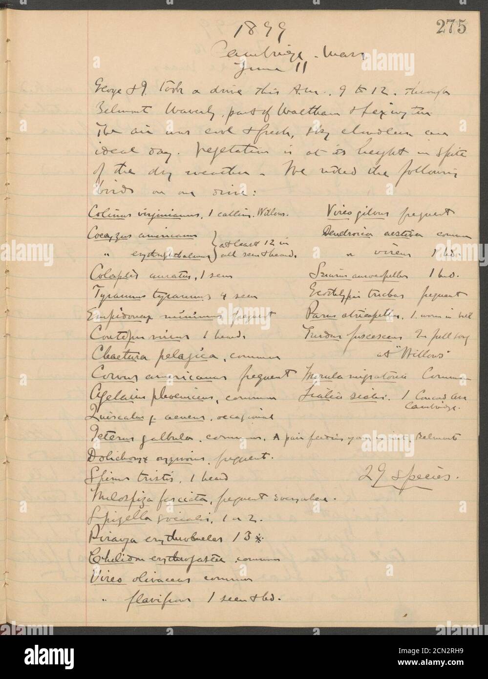 Journal,1896-1899 (inclusive) (Page 275 Stock Photo - Alamy