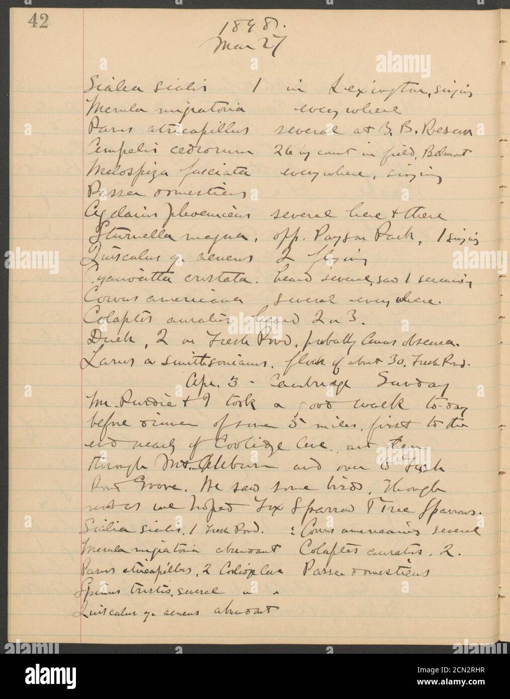 Journal,1896-1899 (inclusive) (Page 42 Stock Photo - Alamy