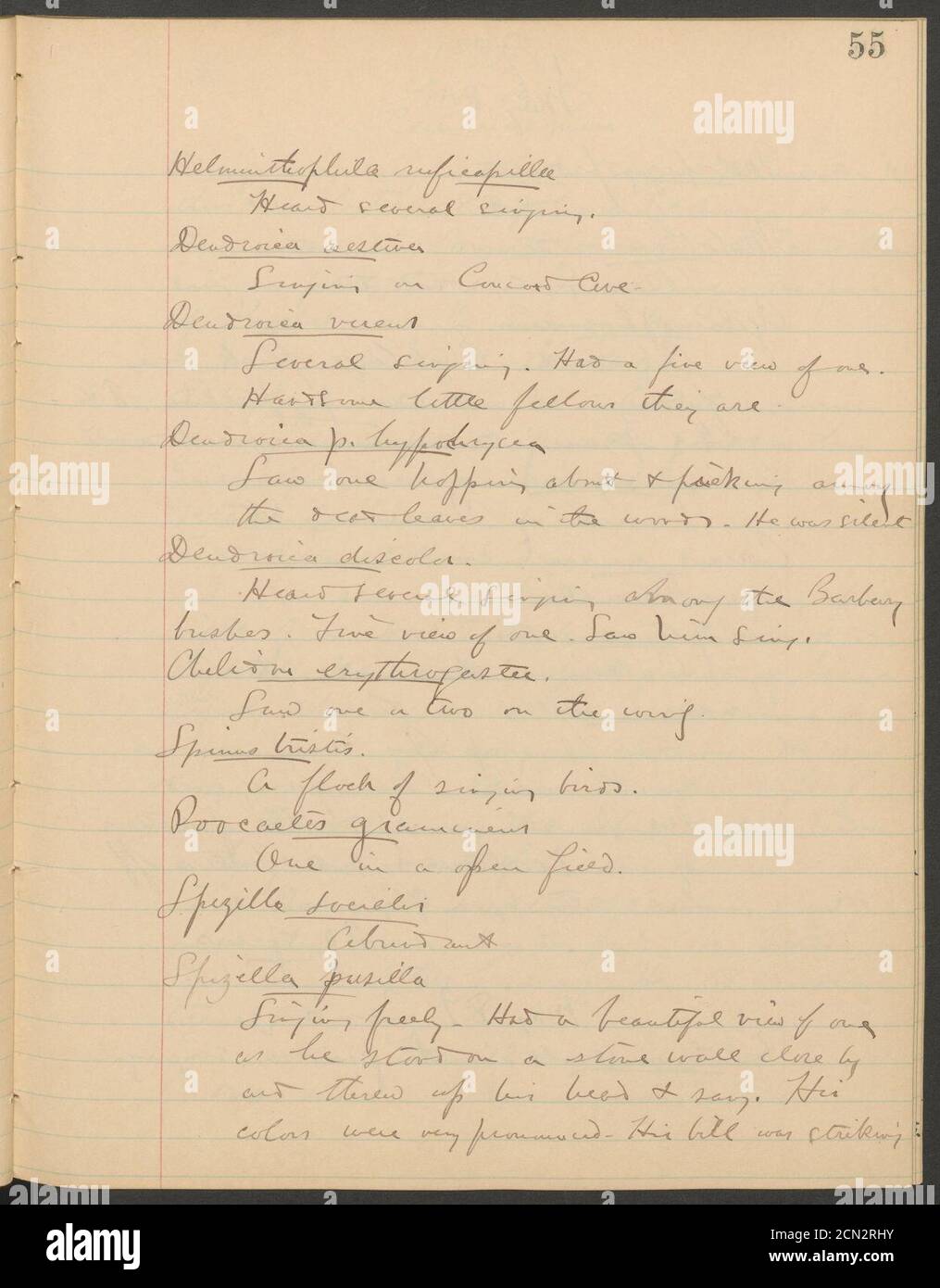 Journal,1896-1899 (inclusive) (Page 55 Stock Photo - Alamy