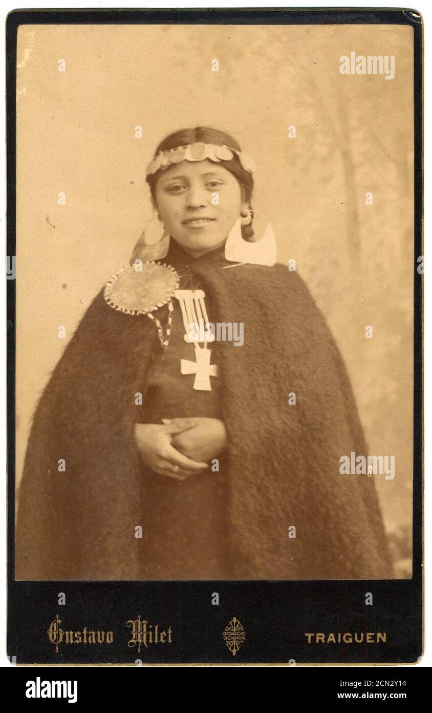 Mapuche tree hi-res stock photography and images - Alamy