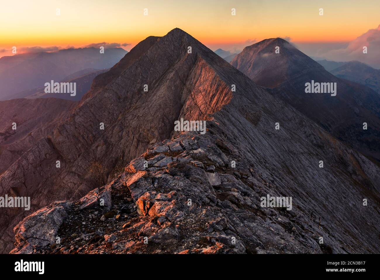 The Foal "Koncheto" Ridge Stock Photo - Alamy