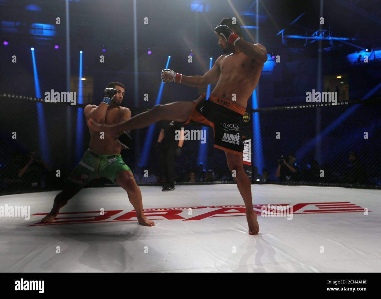 Mixed martial arts federation hi-res stock photography and images - Alamy