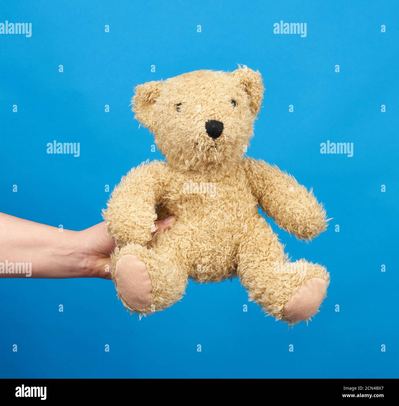 female hand hold a small brown toy teddy bear on a blue background ...
