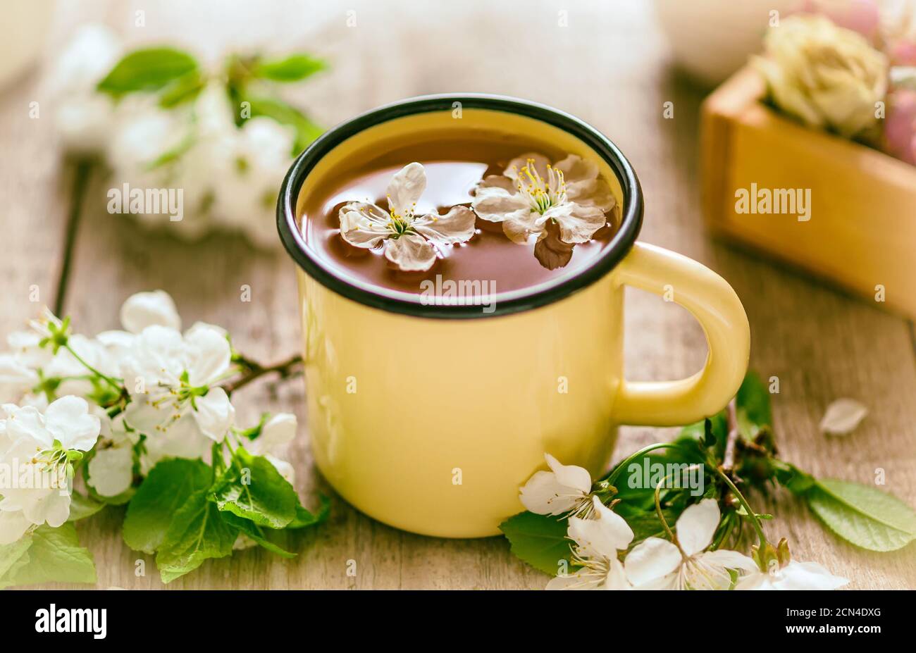 Flower tea hi-res stock photography and images - Alamy
