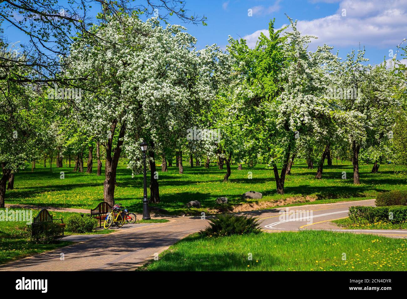 Spring in the city park Stock Photo - Alamy