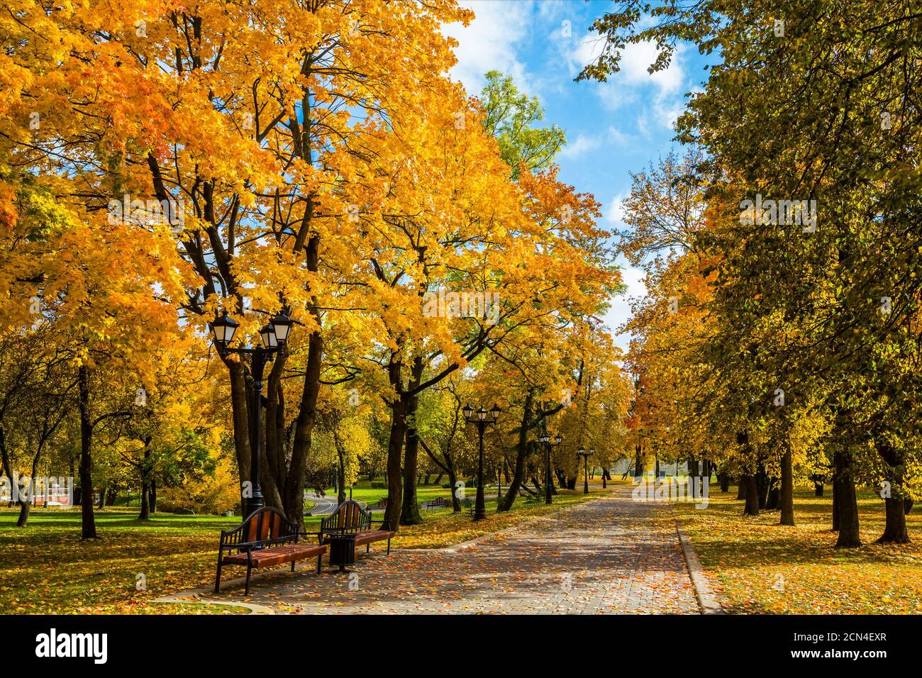 Loshitsky park hi-res stock photography and images - Alamy