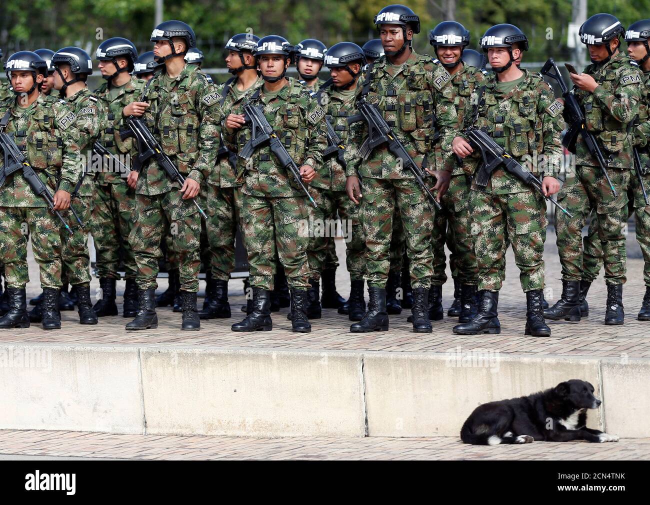 Operation jaque hi-res stock photography and images - Alamy