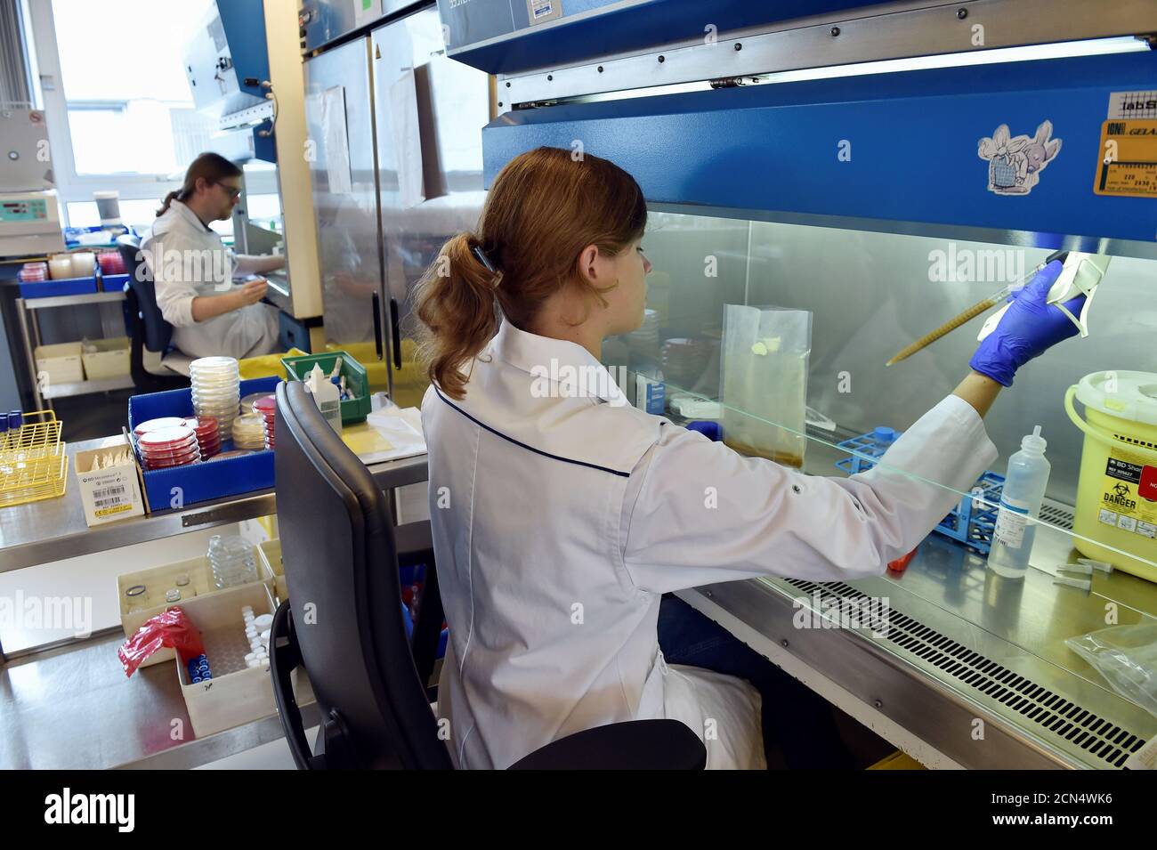 Faeces samples hi-res stock photography and images - Alamy