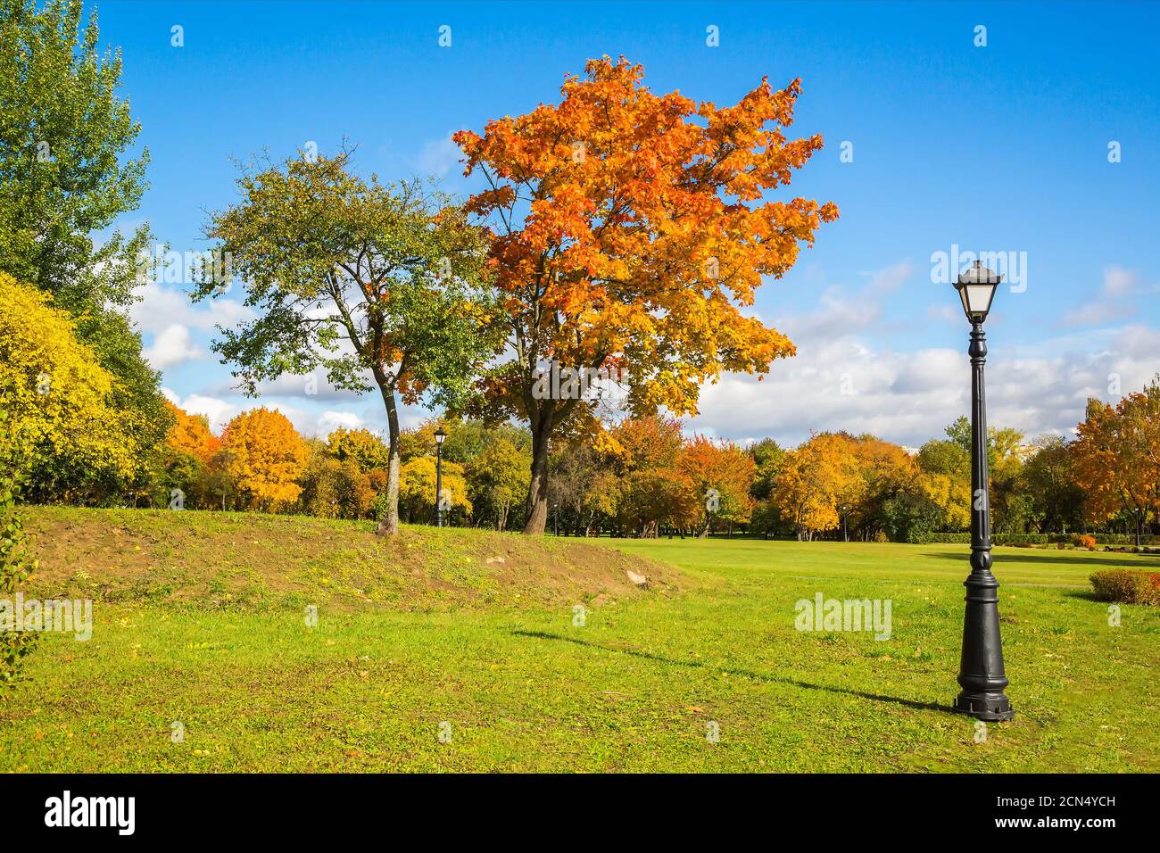 City old leaves hi-res stock photography and images - Alamy
