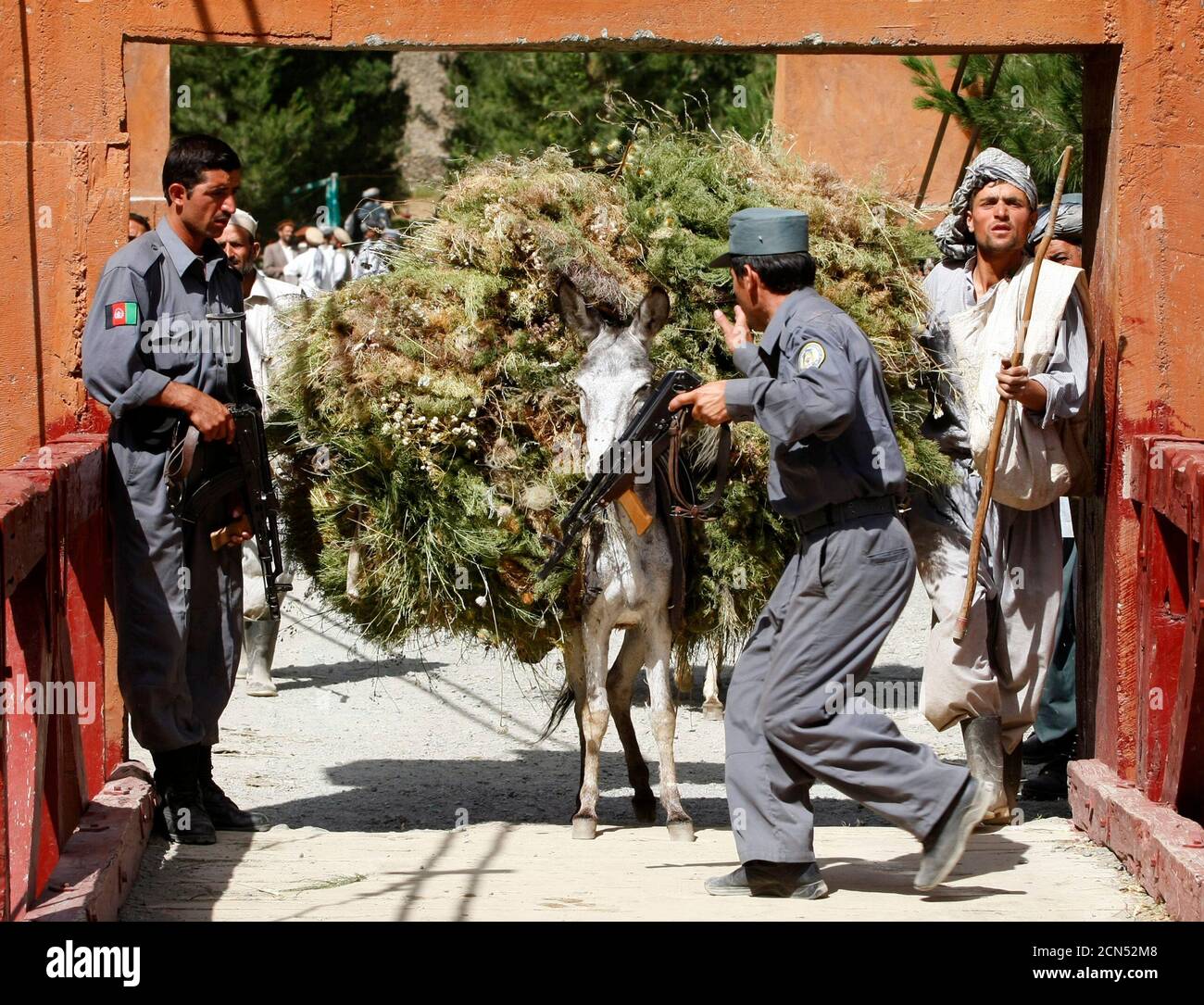 Donkey Guard High Resolution Stock Photography and Images - Alamy