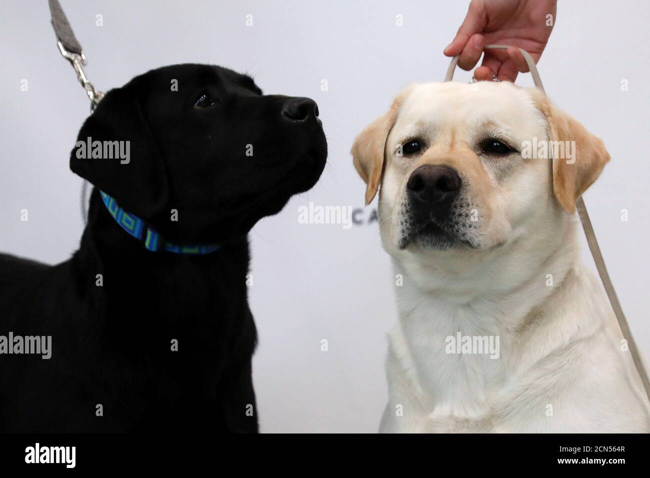 Theo Name High Resolution Stock Photography and Images - Alamy